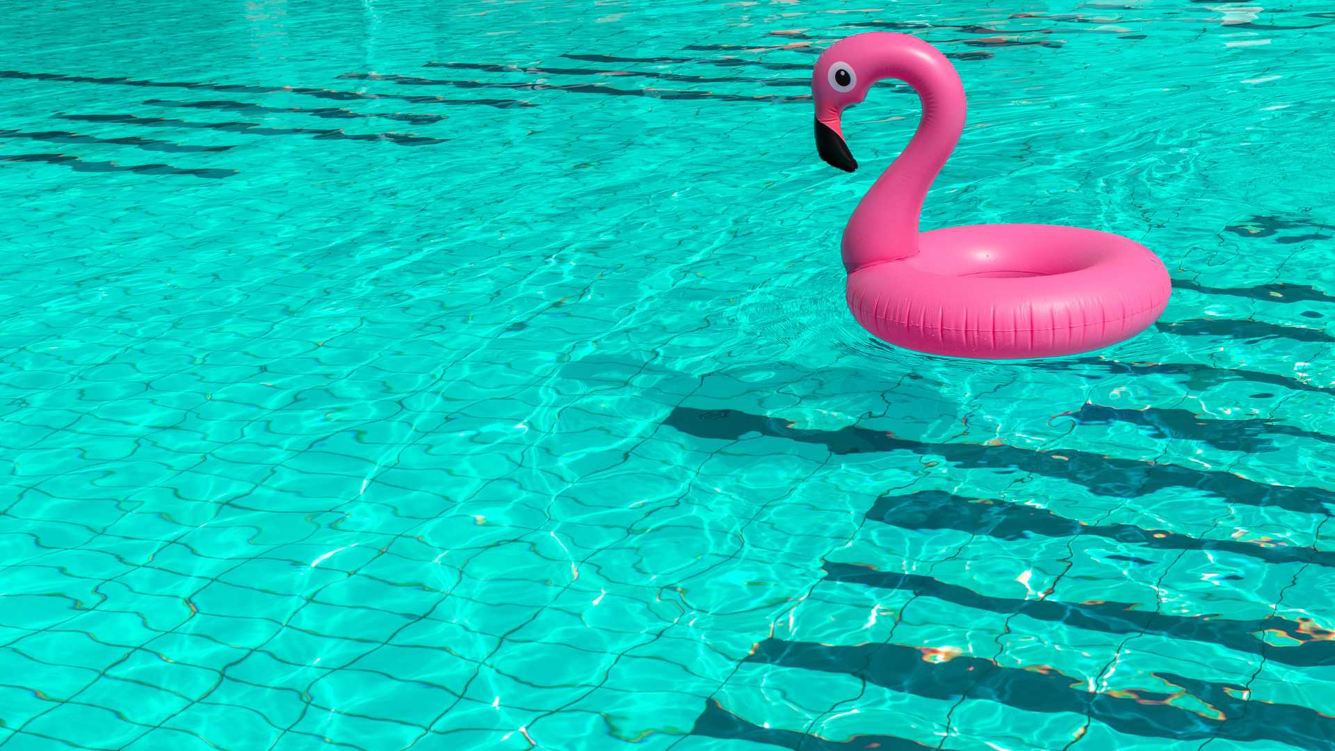 Novato Pool Services - Marin Pool Service